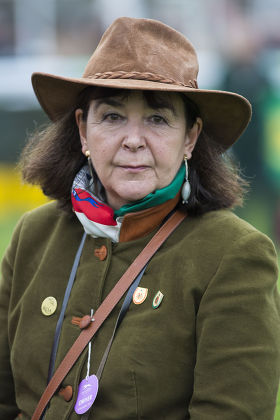 Race Horse Owner Prof Caroline Tisdall Editorial Stock Photo - Stock ...
