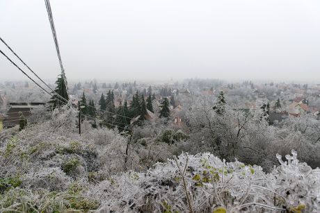 Freezing Rain Covers Skyline Trees Power Editorial Stock Photo - Stock ...