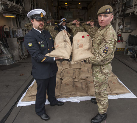 250 Battle of flanders Stock Pictures, Editorial Images and Stock ...