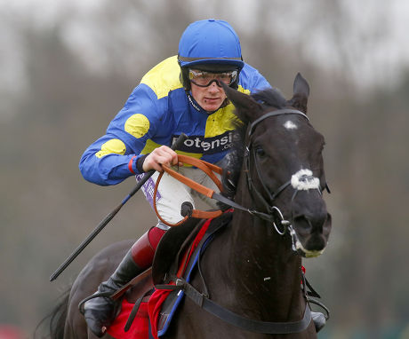 Vyta Du Roc Barry Geraghty Winning Editorial Stock Photo - Stock Image ...