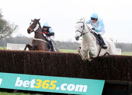 15 Stagecoach race Stock Pictures, Editorial Images and Stock Photos ...