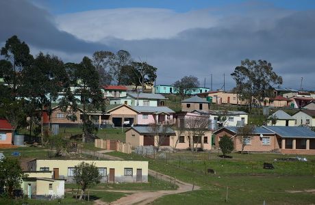 250 Mthatha Stock Pictures, Editorial Images and Stock Photos ...