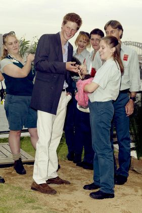 Prince Harry Holding Echidna Called Spike Editorial Stock Photo - Stock ...