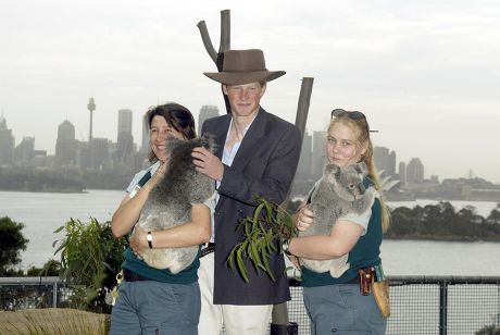 Prince Harry Holding Echidna Called Spike Editorial Stock Photo - Stock ...