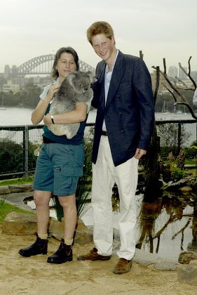 Prince Harry Holding Echidna Called Spike Editorial Stock Photo - Stock ...