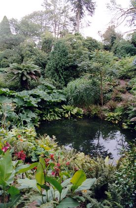 Lost Gardens Heligan Jungle Editorial Stock Photo - Stock Image ...