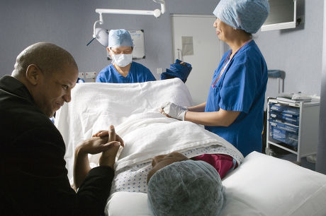 Embryo Implantation Refers Step Process Vitro Editorial Stock Photo ...