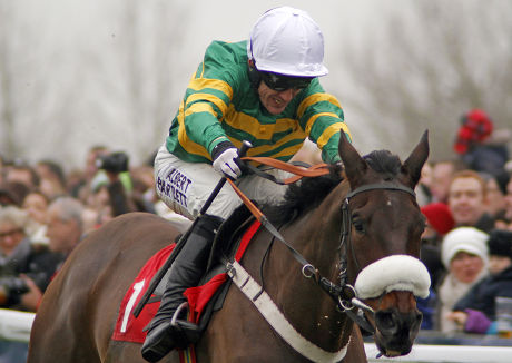 Kauto Star Takes Exception His Statue Editorial Stock Photo - Stock ...