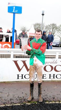 Limerick Captainofthefleet First Racecourse Winner Young Editorial ...