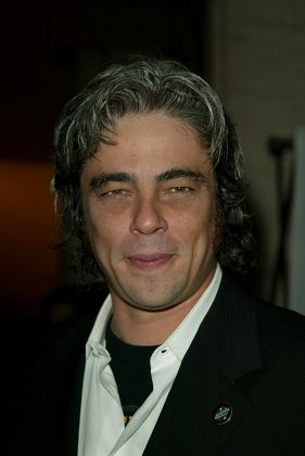 Benicio Del Toro Editorial Stock Photo - Stock Image | Shutterstock