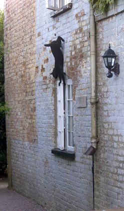 Cat Jumping Window Editorial Stock Photo - Stock Image | Shutterstock