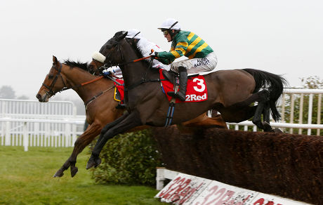 Fairy Rath Tom Cannon Winning 32red Editorial Stock Photo - Stock Image ...