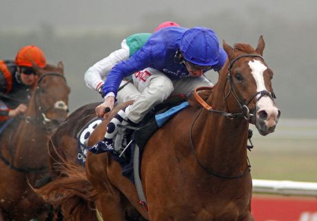 Horse Racing - 3 Jan 2015 Stock Pictures, Editorial Images and Stock ...