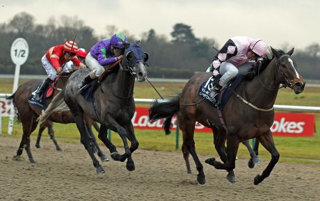 67 Chelwood Stock Pictures, Editorial Images and Stock Photos | Shutterstock