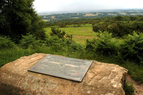 A A MILNE COUNTRY, ASHDOWN FOREST, KENT, BRITAIN - 2003 Stock Pictures ...