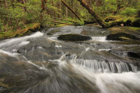 2 Freshwater inlet Stock Pictures, Editorial Images and Stock Photos ...