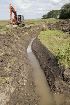 250 Excavator digging Stock Pictures, Editorial Images and Stock Photos ...