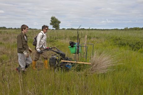 Sedge Cutting Machine Marshland Sutton Fen Editorial Stock Photo ...