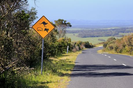 49 Roadside verges Stock Pictures, Editorial Images and Stock Photos | Shutterstock