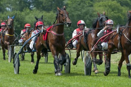 75 Harness races Stock Pictures, Editorial Images and Stock Photos ...