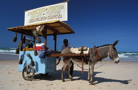 Mobile Donkey Cart Beach Bar Canoa Editorial Stock Photo - Stock Image ...