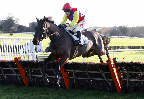 __COUNT__ Horse Racing - 8 Jan 2015 Stock Pictures, Editorial Images ...