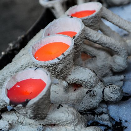 Molds Filled Molten Bronze During Media Editorial Stock Photo - Stock ...