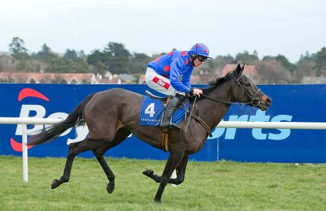 Jockey Davy Russell Wins On Golan Editorial Stock Photo - Stock Image ...