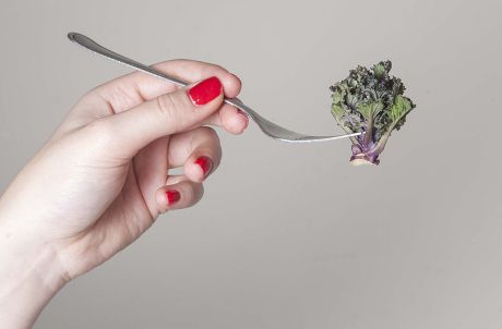 Kalette Sprout Editorial Stock Photo - Stock Image | Shutterstock