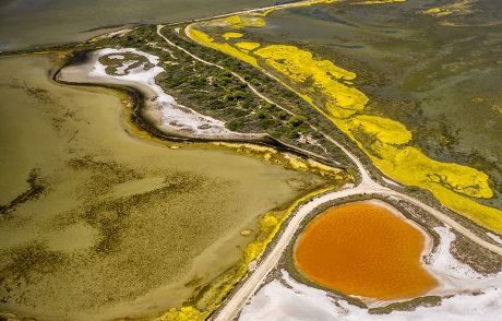 Salt Patterns On Surface Salt Marshes Editorial Stock Photo - Stock ...