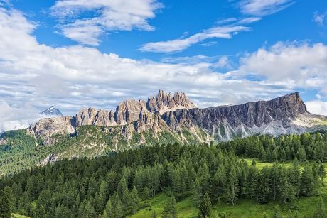 250 Croda Stock Pictures, Editorial Images and Stock Photos | Shutterstock