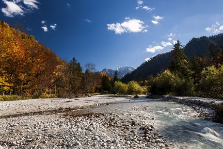 Alm Almfluss Autumn Almtal Salzkammergut Upper Editorial Stock Photo ...