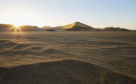 Sand Dunes Namib Desert Swakopmund Namibia Editorial Stock Photo - Stock Image | Shutterstock