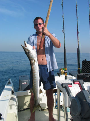 Model Released Man Poses Catch Barracuda Editorial Stock Photo - Stock ...