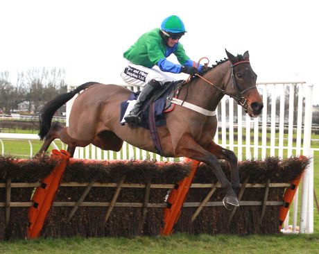 Bobs Lady Tamure Stephen Mulqueen Jumps Editorial Stock Photo - Stock ...