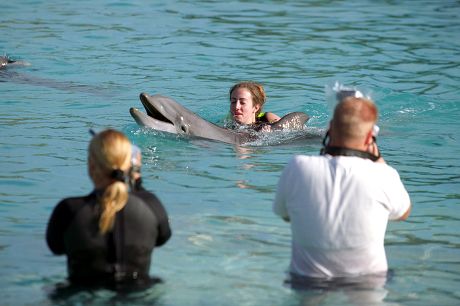 Tourist Rides Dolphin Discovery Cove Florida Editorial Stock Photo ...