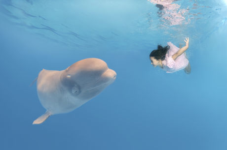 74 Closeness to nature Stock Pictures, Editorial Images and Stock ...