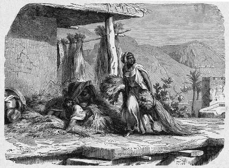 Religion Holy Bible Rahab Hide Spies Editorial Stock Photo - Stock ...