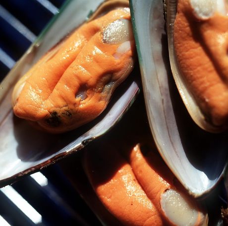 Mussel Editorial Stock Photo - Stock Image | Shutterstock