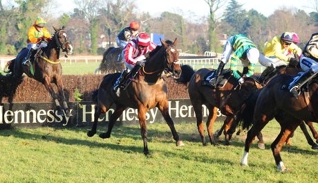 Horse Racing - 8 Feb 2015 Stock Pictures, Editorial Images and Stock ...