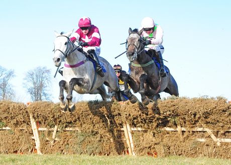 Horse Racing - 8 Feb 2015 Stock Pictures, Editorial Images and Stock ...