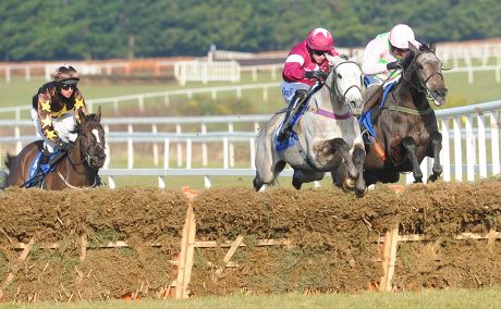 Horse Racing - 8 Feb 2015 Stock Pictures, Editorial Images and Stock ...