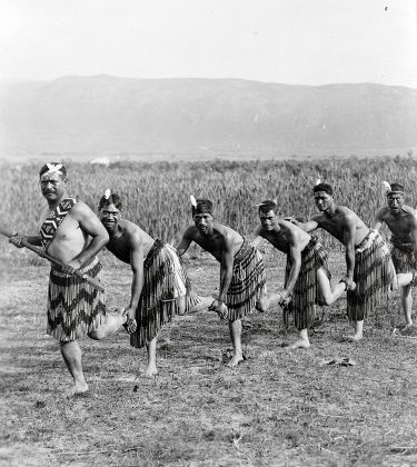 Photograph Five Maori Men Posing Traditional Editorial Stock Photo ...