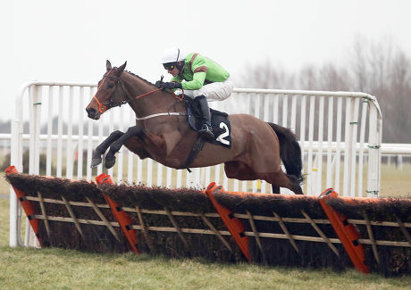 Royal Macnab Tony Kelly Wins Musselburgh Editorial Stock Photo - Stock ...