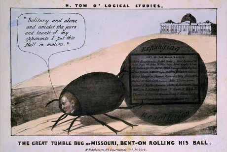 Great Tumble Bug Missouri Benton Rollin Editorial Stock Photo - Stock ...