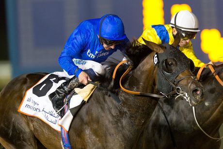 Maftool Under Paul Hanagan Wins 8f Editorial Stock Photo - Stock Image ...