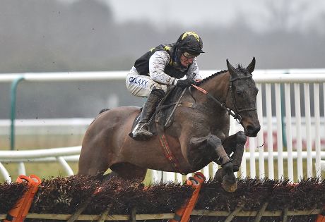 Michael Nolan Jockey Editorial Stock Photo - Stock Image | Shutterstock