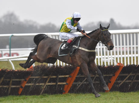 Michael Nolan Jockey Editorial Stock Photo - Stock Image | Shutterstock