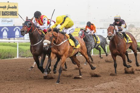 Horse Racing from Jebel Ali, Dubai, United Arab Emirates - 20 Feb 2015 ...