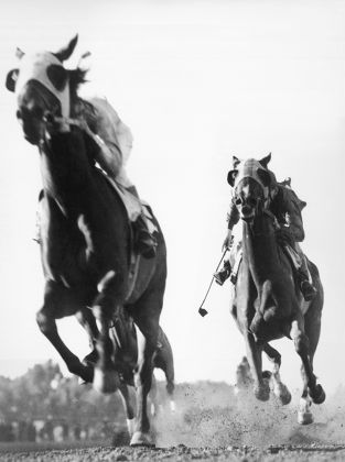 3 Tanforan race track Stock Pictures, Editorial Images and Stock Photos ...